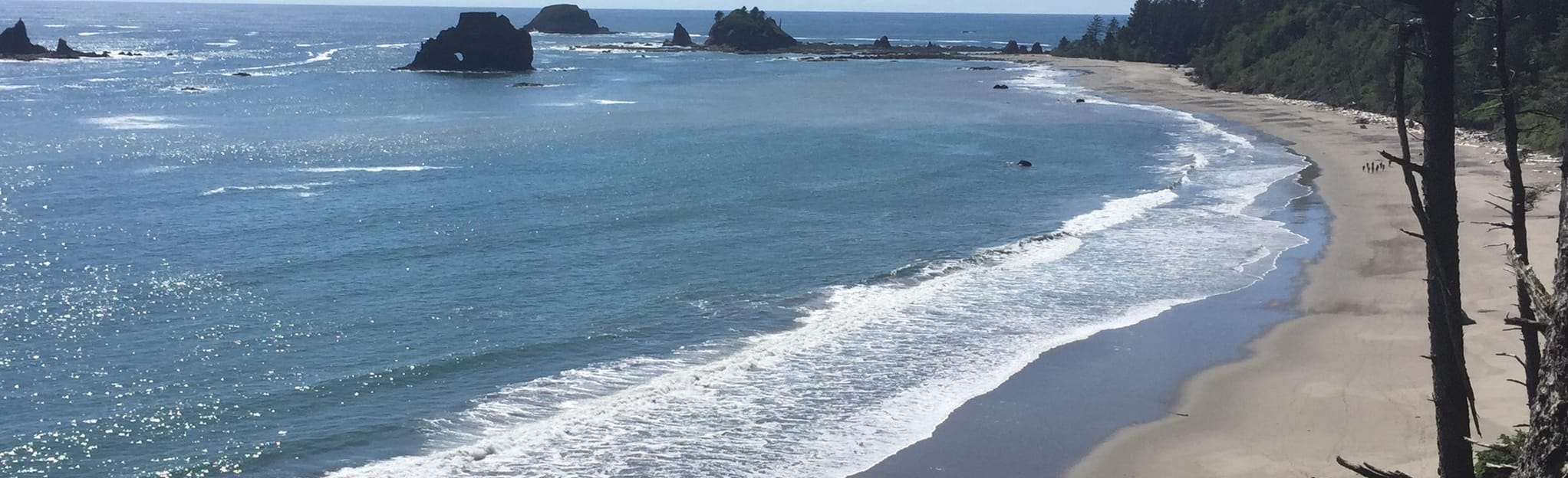 AllTrails | Third Beach to Hoh River: 66 Reviews, Map - Washington