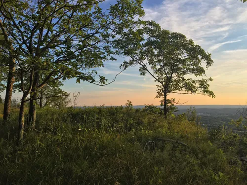 Best Hikes and Trails in The Nature Conservancy Higby Mountain | AllTrails