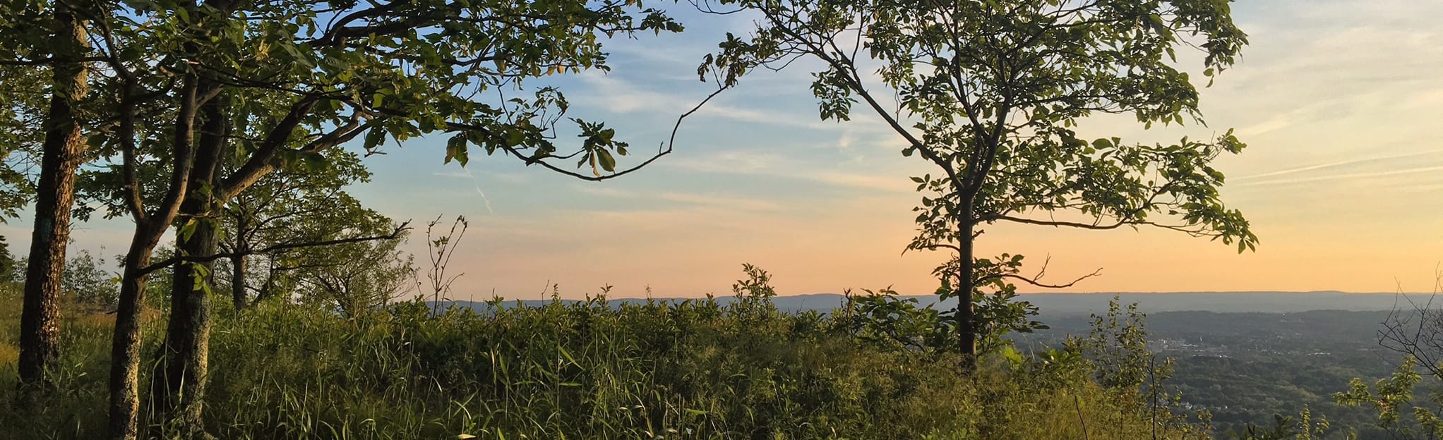 Higby Mountain: 98 Reviews, Map - Connecticut | AllTrails