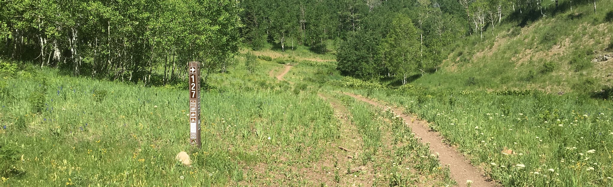 Jones Ranch Trail, Utah - 90 Reviews, Map | AllTrails