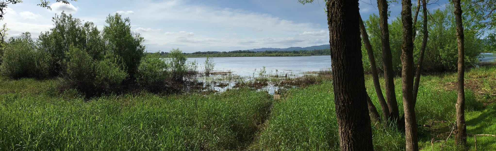 Smith and Bybee Wetlands Trail: 240 Reviews, Map - Washington | AllTrails