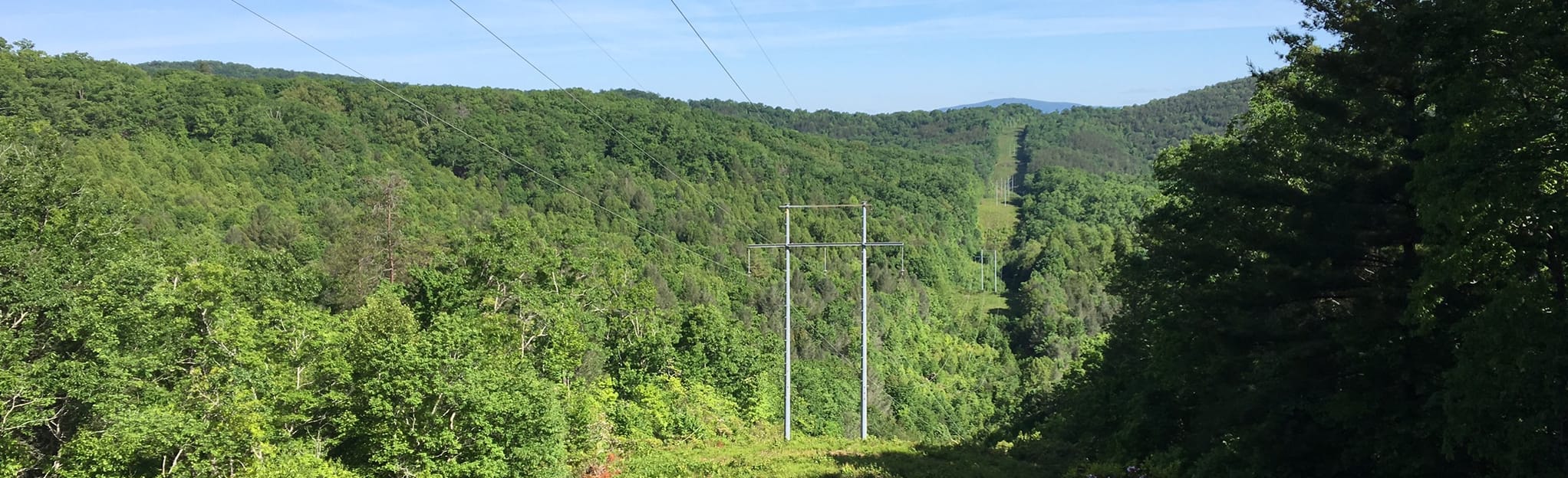 AllTrails | Licklog Ridge Trail: 8 Reviews, Map - Tennessee