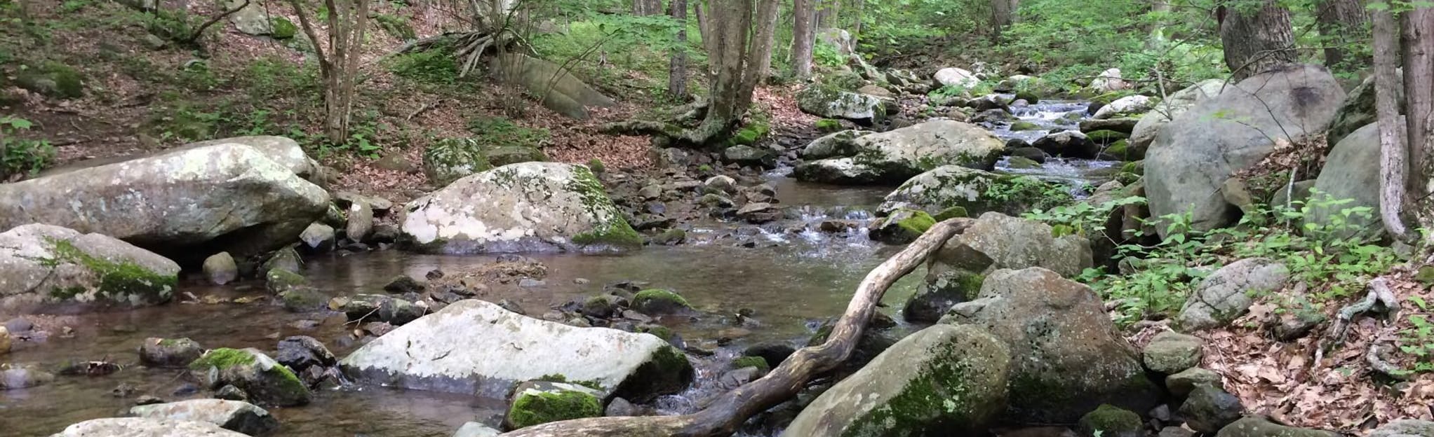 Corbin Cabin via Nicholson Hollow and Appalachian Trail Loop - Virginia ...