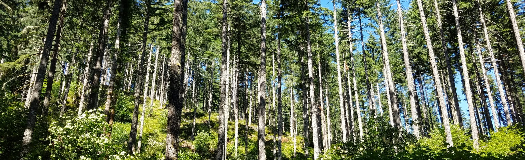 760 Outback Loop Trail | Map, Guide - Oregon | AllTrails