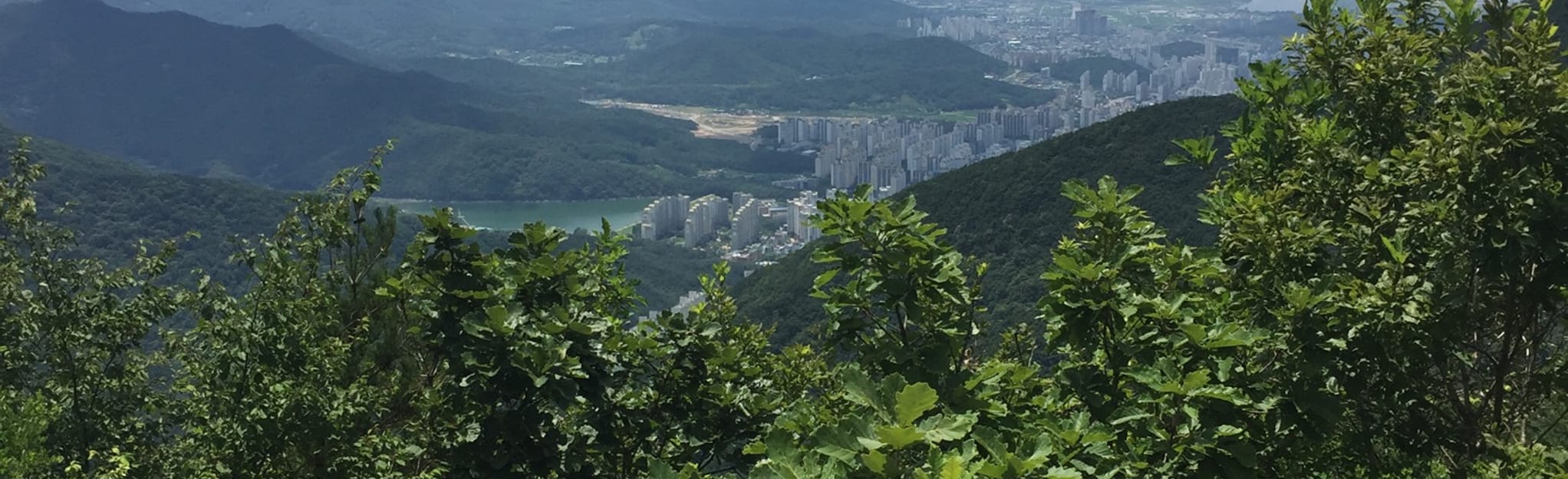 Apsan Observatory, Daegu, South Korea - 89 Reviews, Map | AllTrails