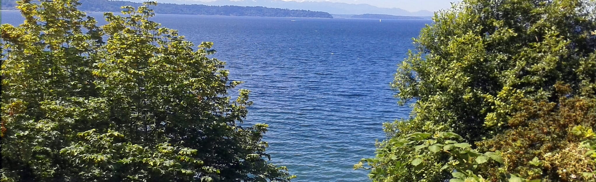 Three Tree Point Indian Trail, Washington - 91 Reviews, Map | AllTrails