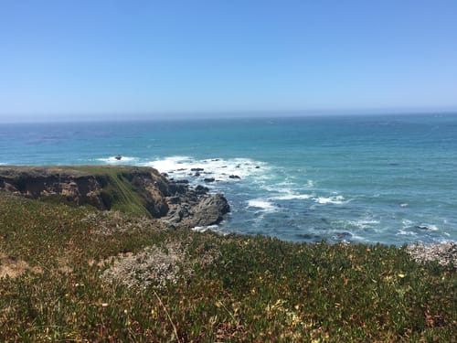 2023 Best Views Trails in Fiscalini Ranch Preserve | AllTrails