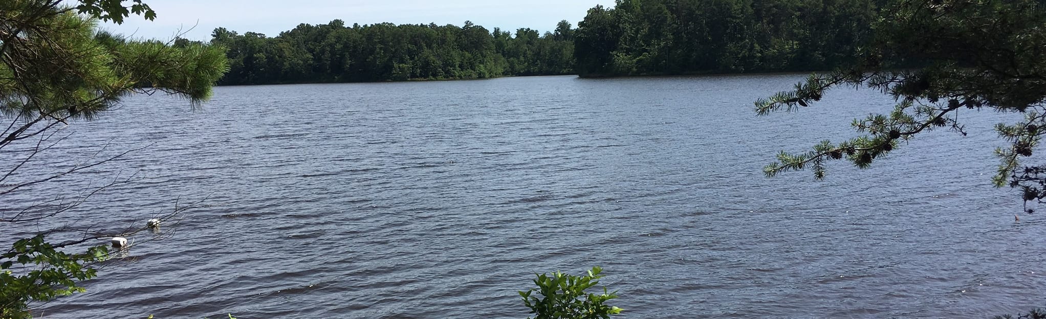 Saint Mary's Lake: White Path: 628 Reviews, Map - Maryland | AllTrails