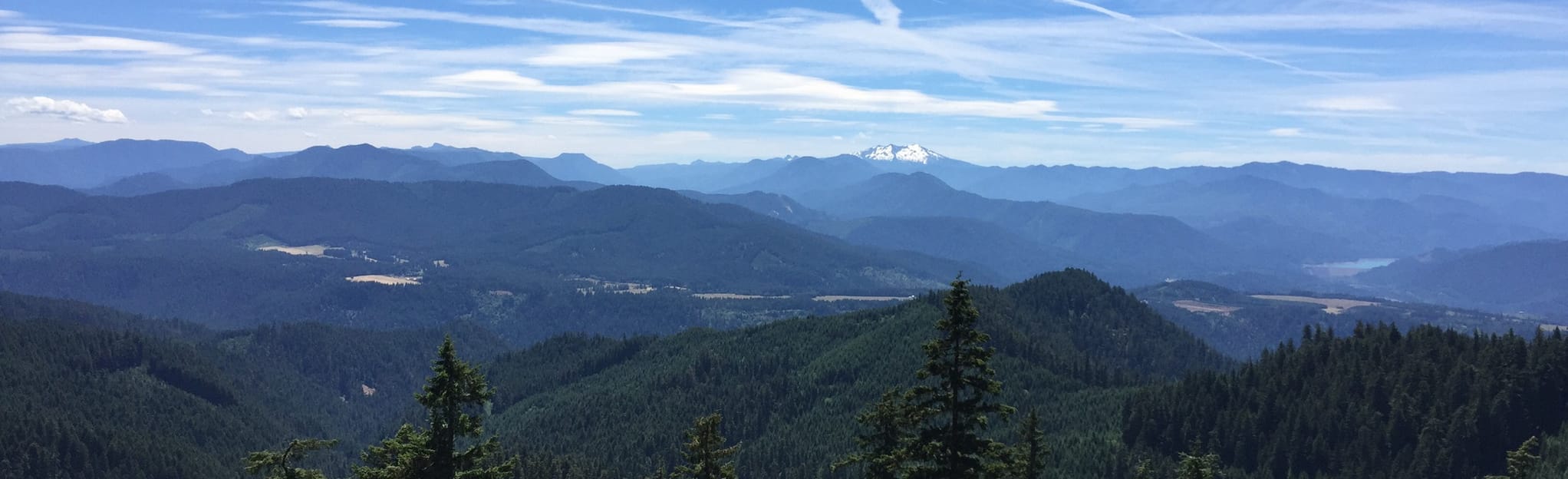 Alpine Trail, Oregon - 19 Reviews, Map | AllTrails