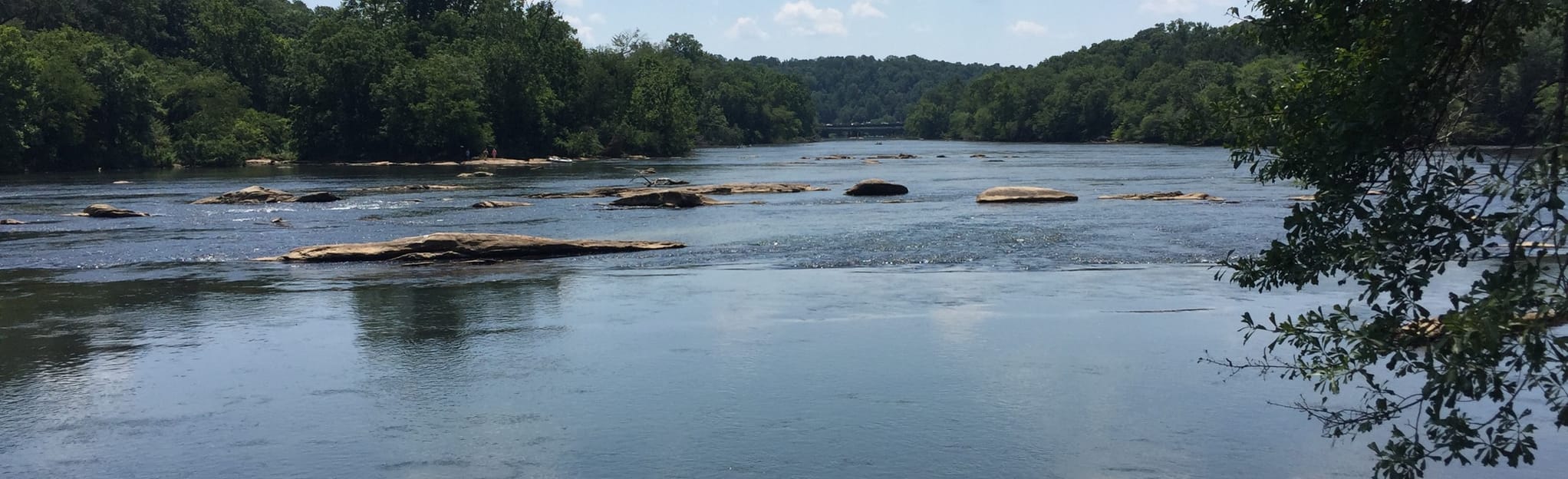 Cochran Shoals West Loop from Interstate North Trailhead: 364 Reviews ...