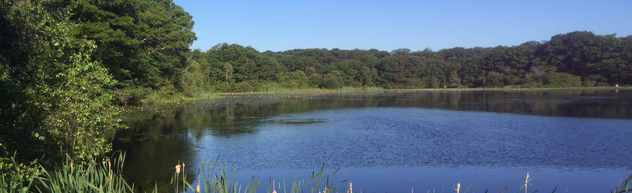 Tri Pond Park, Rhode Island - 169 Reviews, Map | AllTrails