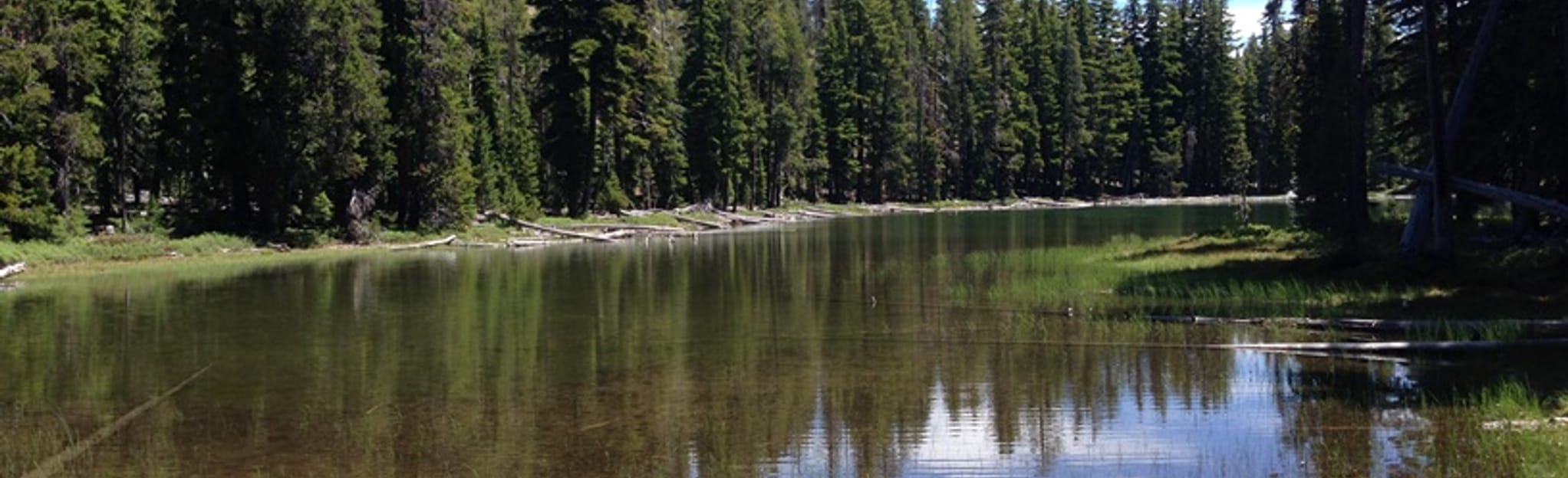 Stag Lake Trail: 9 Reviews, Map - Oregon | AllTrails