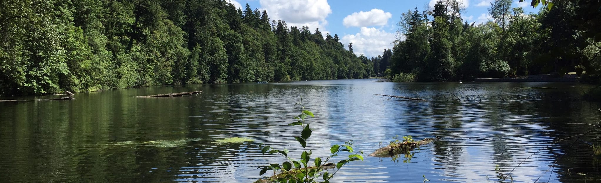 Lake Fenwick, Washington - 613 Reviews, Map | AllTrails