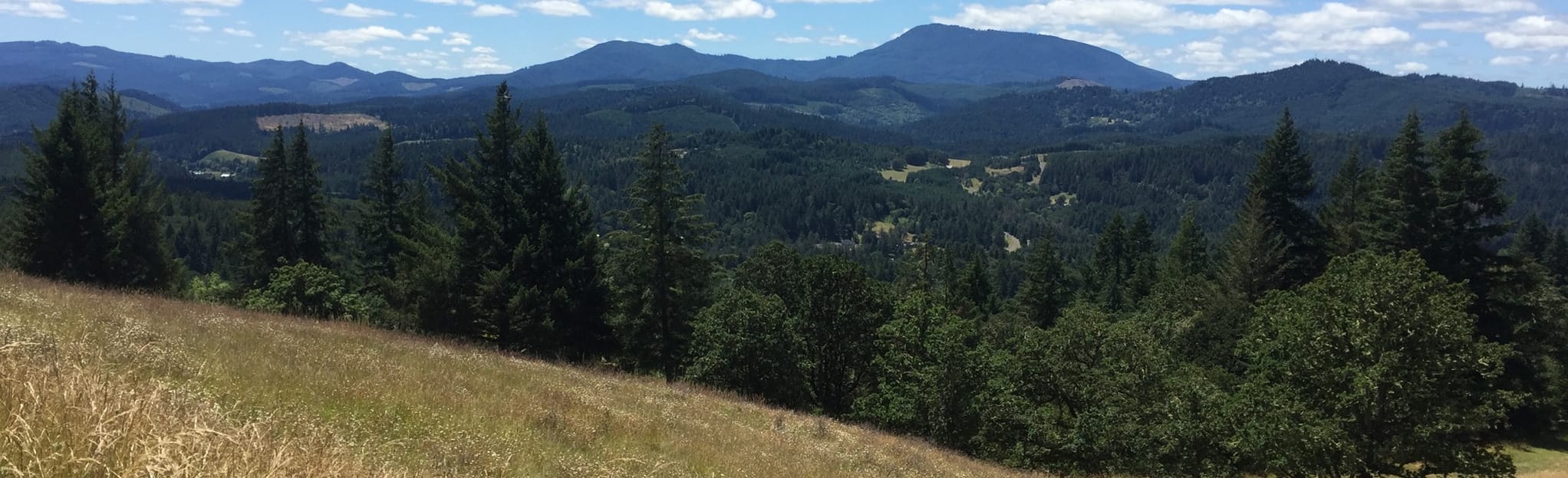 Fitton Green Natural Area Trail, Oregon - 365 Reviews, Map | AllTrails