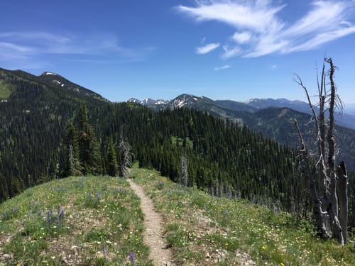 2023 Best Easy Trails in Flathead National Forest | AllTrails