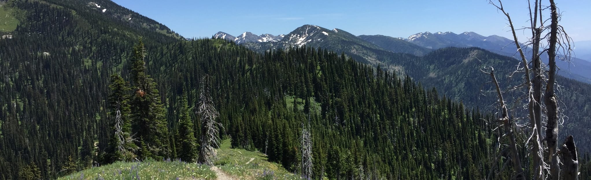 Flathead Lookout: 130 Reviews, Map - Montana | AllTrails