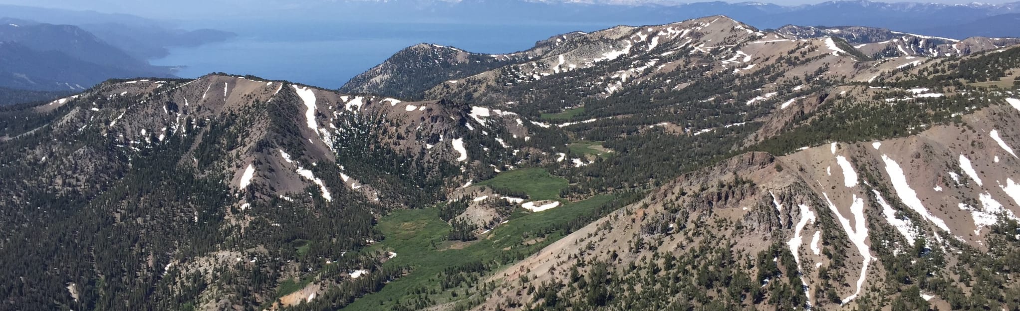 Mount Rose Peak Trail, Nevada - 2,805 Reviews, Map | AllTrails