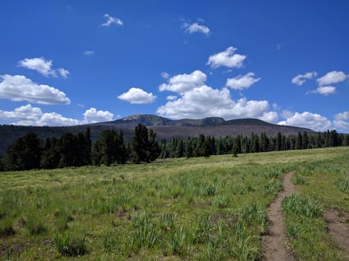 2023 Best 10 Long Trails in Tererro | AllTrails