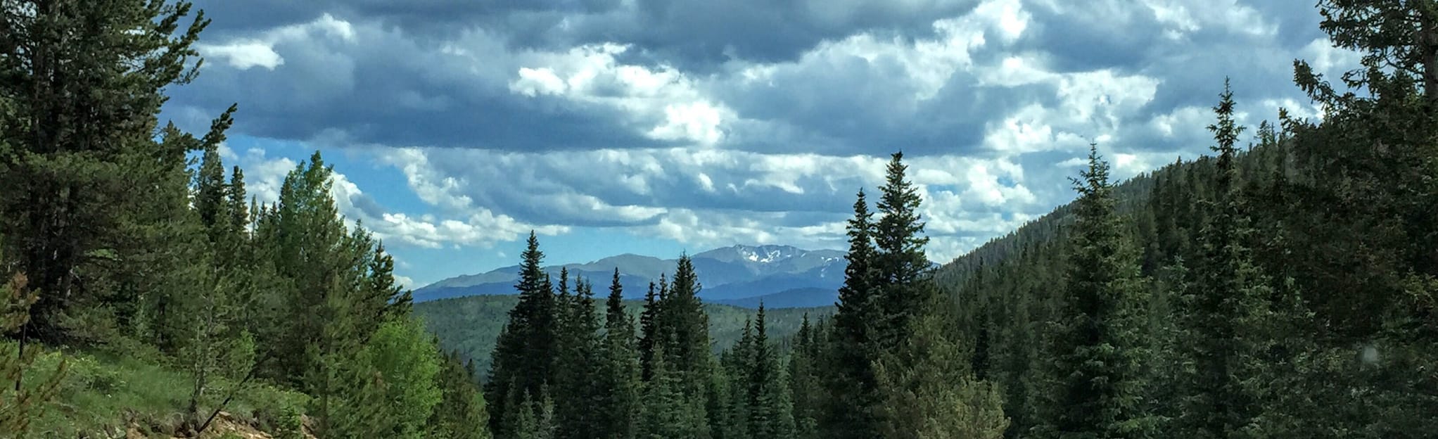 Apex OHV Road, Colorado - 143 Reviews, Map | AllTrails