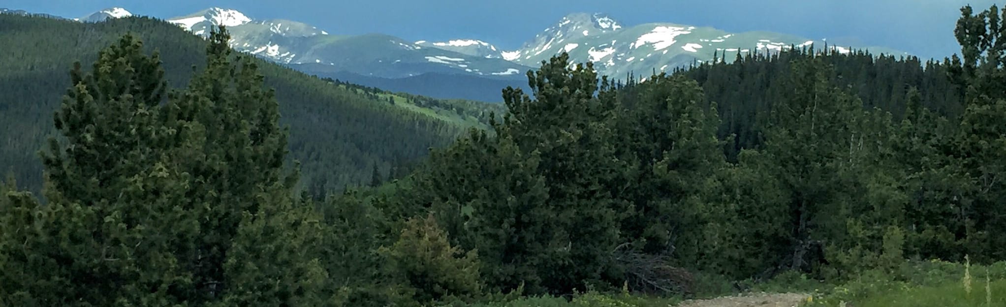 Pickle Gulch OHV Trail: 206 Reviews, Map - Colorado | AllTrails