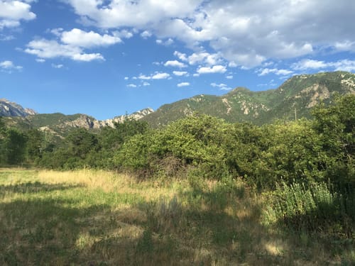 Best 10 Hikes and Trails in Dimple Dell Regional Park | AllTrails