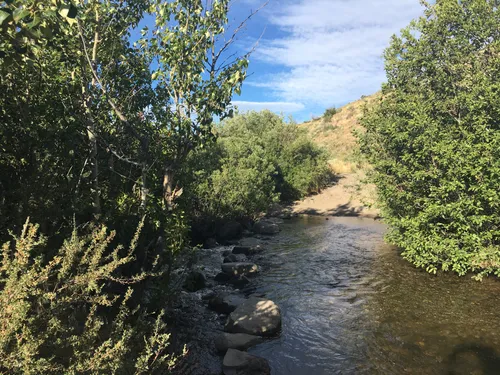 10 Best Trails and Hikes in Reno | AllTrails