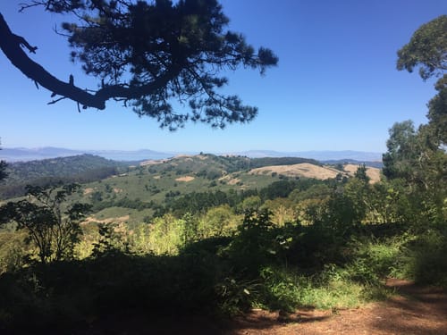 2023 Best 10 Trail Running Trails in Berkeley | AllTrails