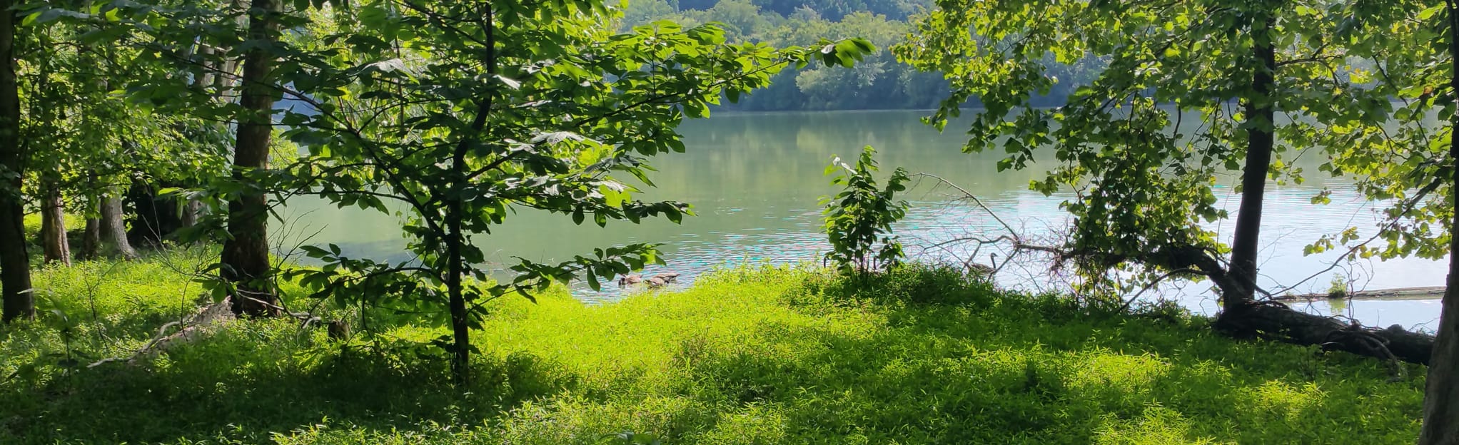 AllTrails | Otter Creek Road to Radnor Lake and Ganier Ridge Loop: 566 ...