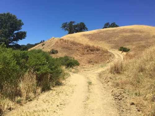 Best Kid Friendly Trails in Mount Diablo State Park | AllTrails