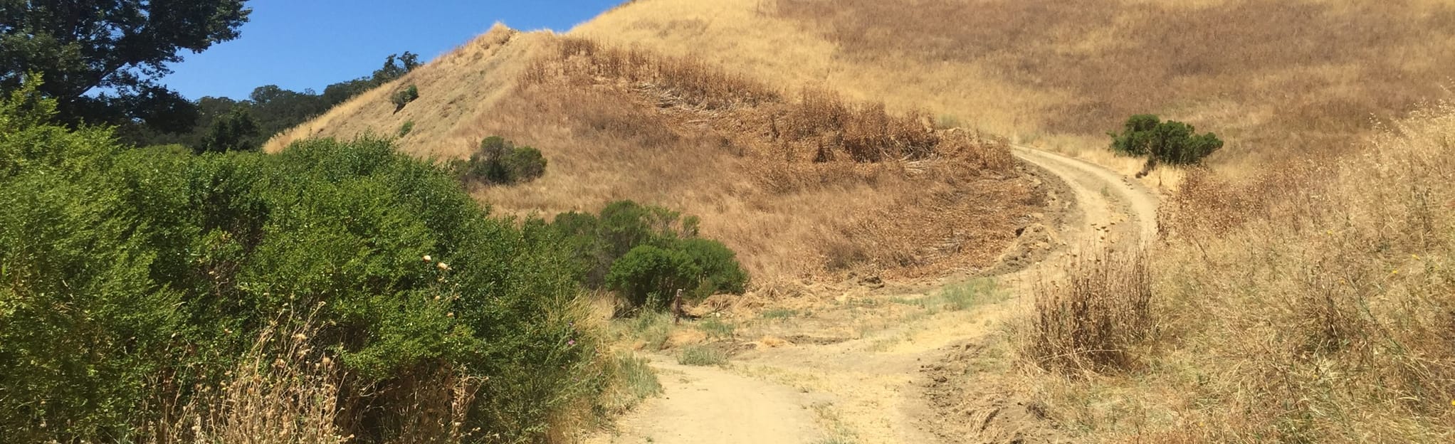 Stage and Wall Point Road Loop, California - 598 Reviews, Map | AllTrails