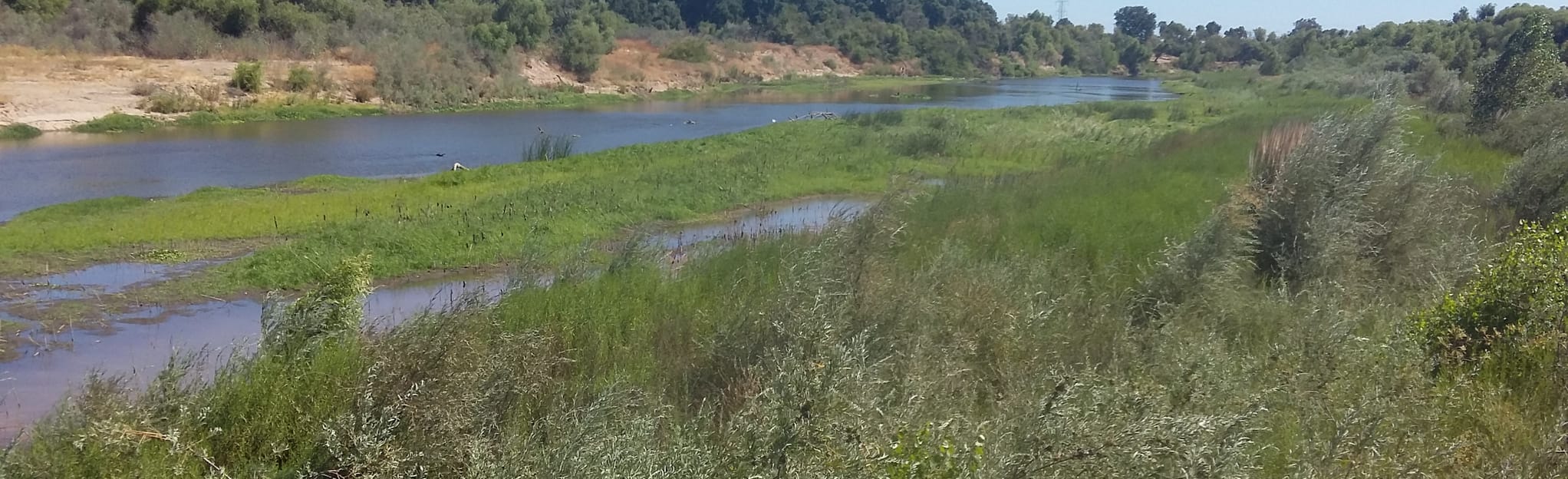 Pelican Nature Trail | Mapa, Roteiro - California | AllTrails