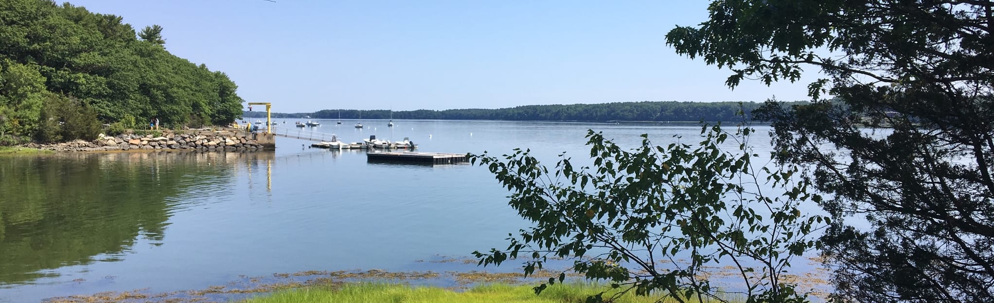 Adams Point Trail, New Hampshire - 120 Reviews, Map | AllTrails