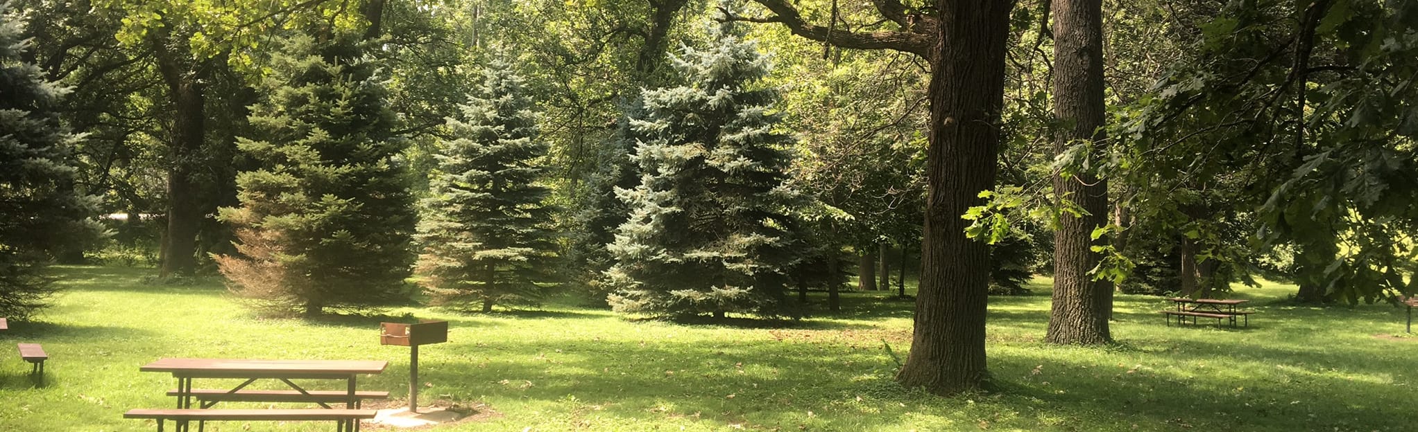 Lilac Walk & Tree Trail, Nebraska - 25 Reviews, Map | AllTrails