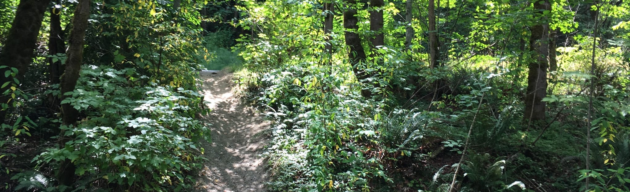 Forbes Valley Trail: 22 foto's - Washington | Wandelen - AllTrails