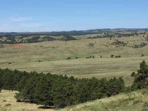 Best 10 Hikes And Trails In Wind Cave National Park Alltrails