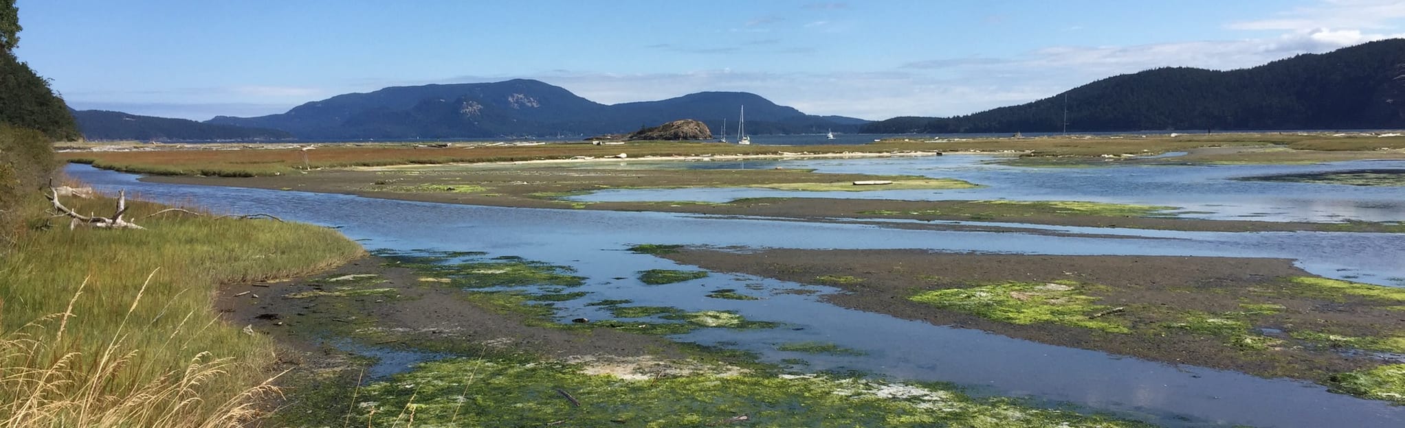 Spencer Spit Trail, Washington - 75 Reviews, Map | AllTrails