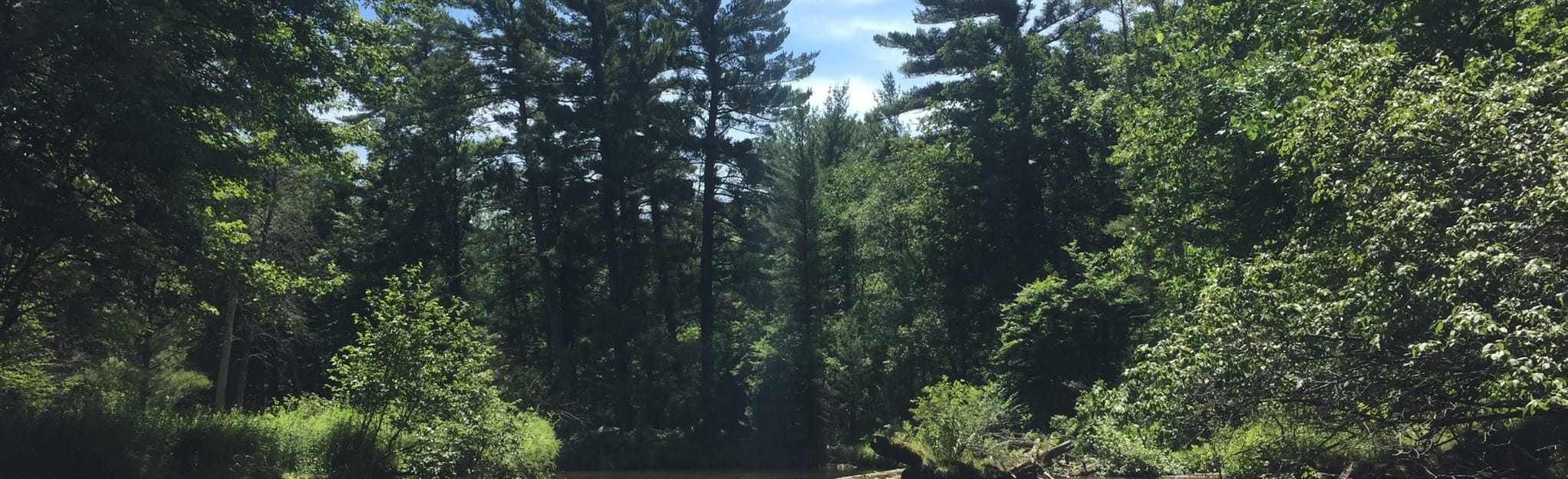 AllTrails | Pere Marquette River Float: 12 Reviews, Map - Michigan AllTrails | Pere Marquette River Float: 12 Reviews, Map - Michigan