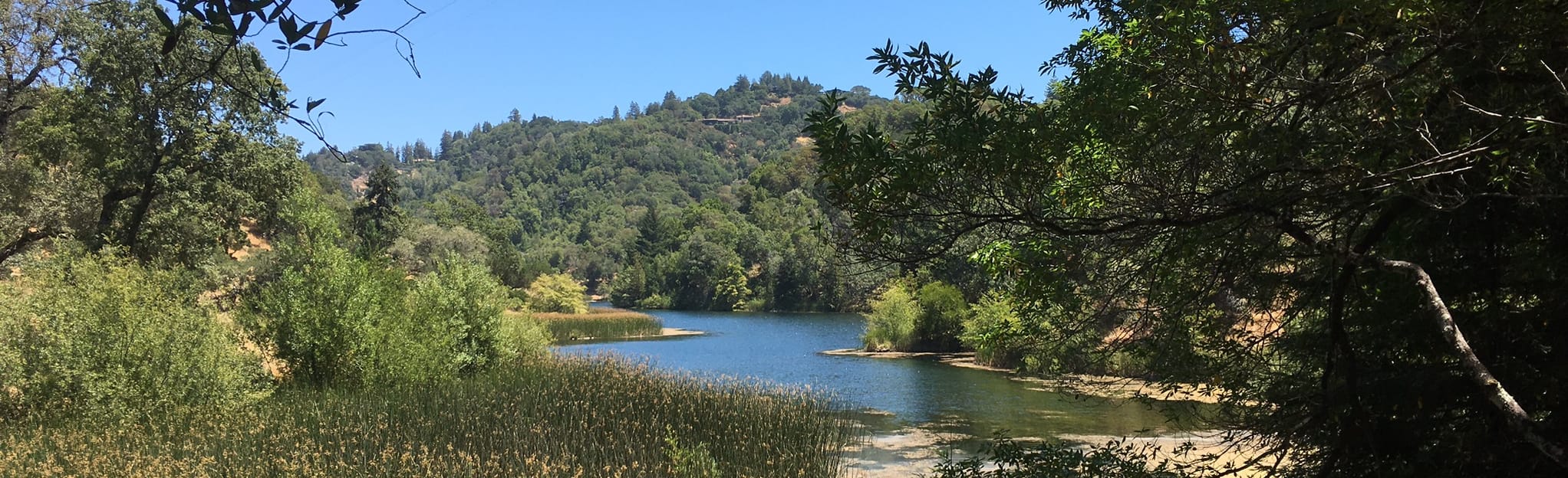 Phoenix Lake and Yolanda Trail Loop: 201 Reviews, Map - California ...