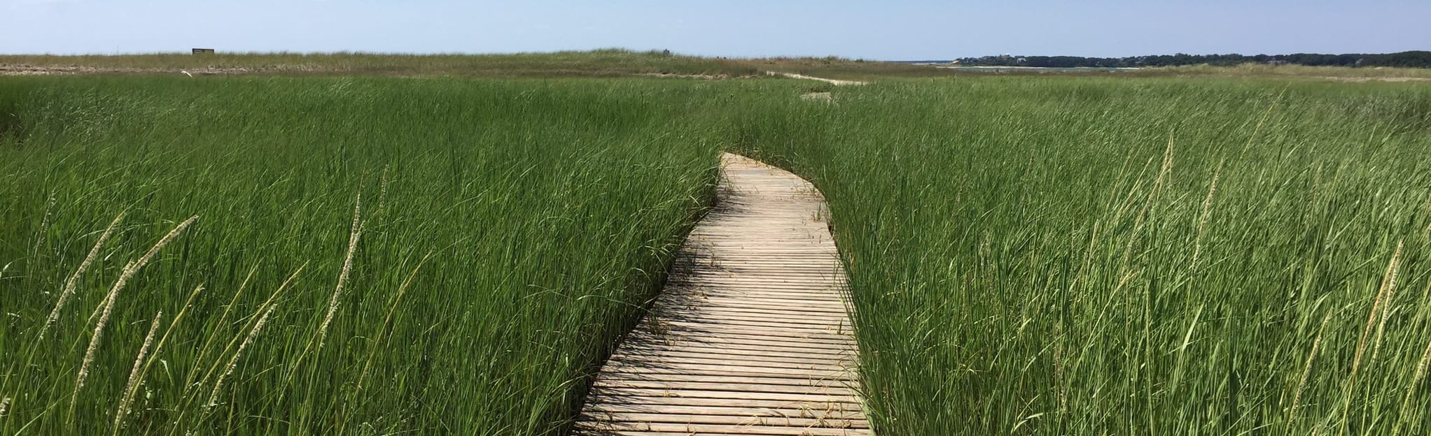 Goose Pond Trail : 436 Photos - Massachusetts | Randonnée | AllTrails