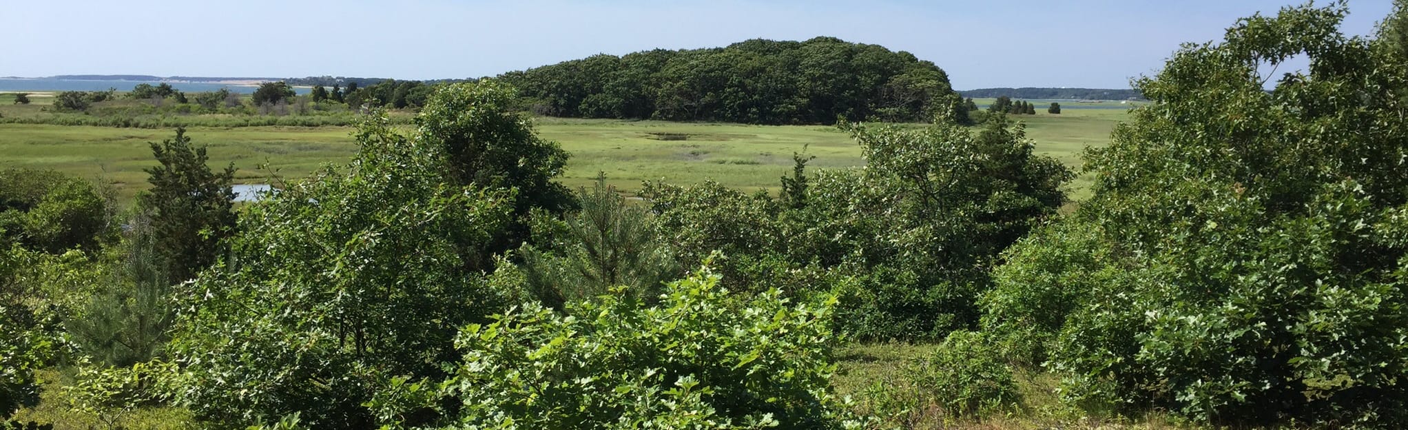 Marsh Cabin via Goose Pond Trail, Massachusetts - 60 Reviews, Map ...