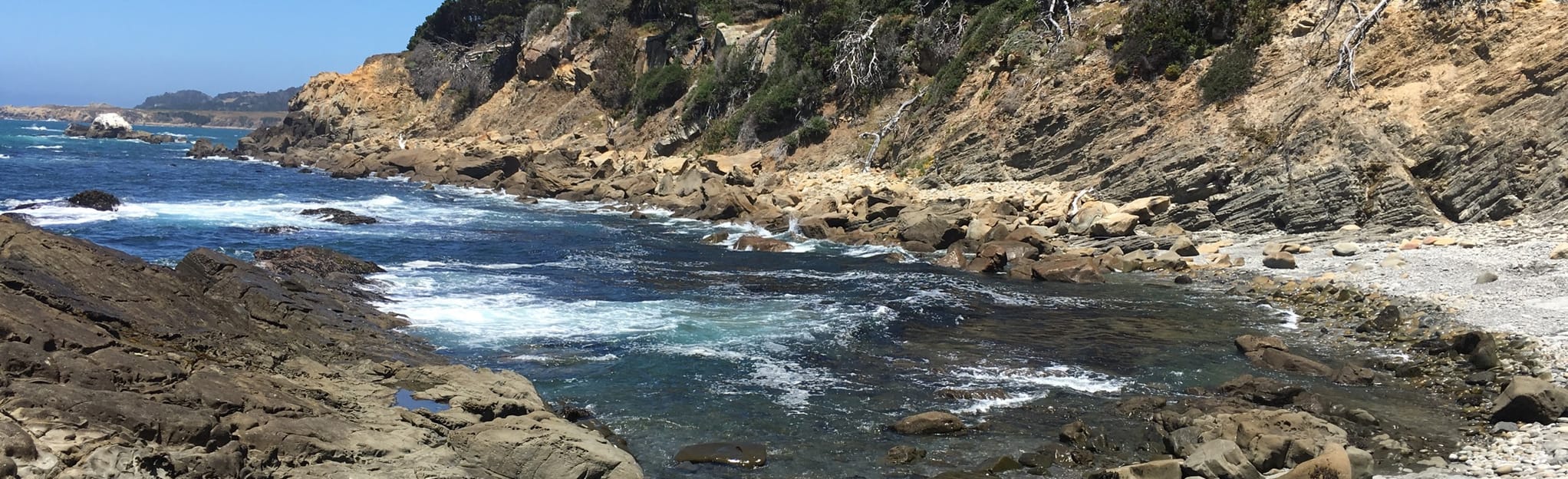 Stump Beach and Bluff Trail, California - 64 Reviews, Map | AllTrails