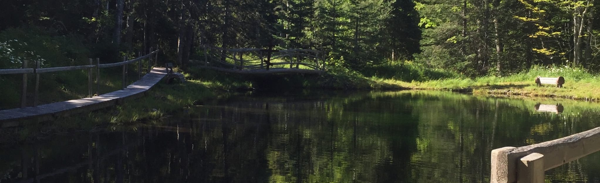 Jacob’s Falls, Arnold Mine, and Monk Trails Loop, Michigan - 210 ...