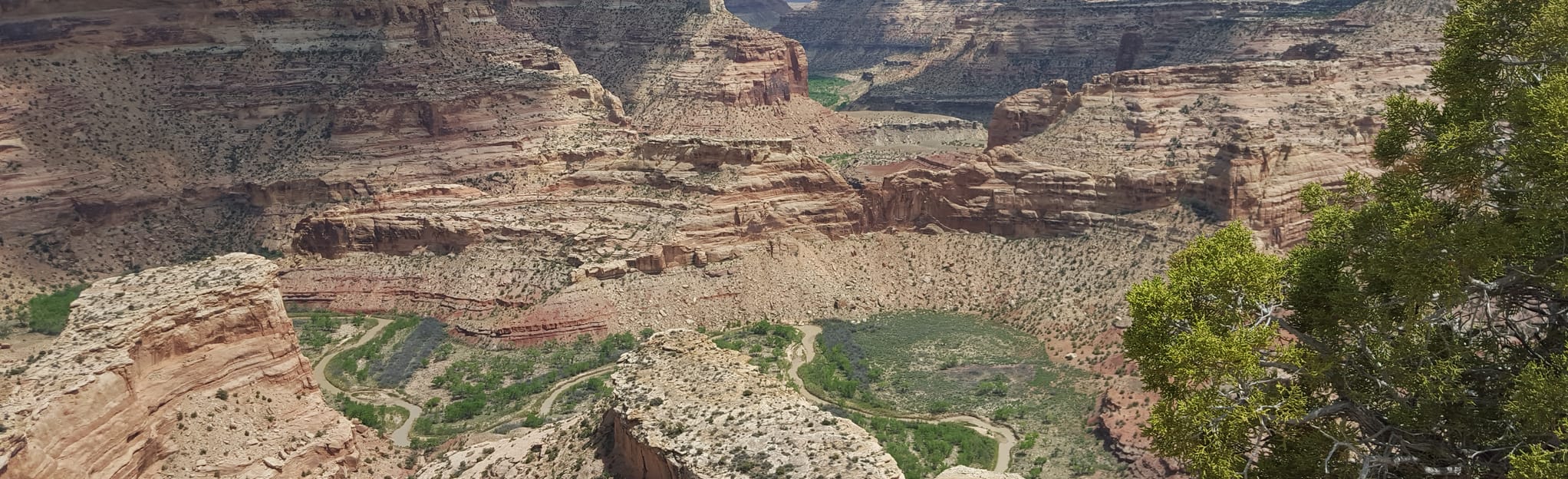 The Wedge and Goodwater Canyon Rim Trail, Utah - 110 Reviews, Map ...