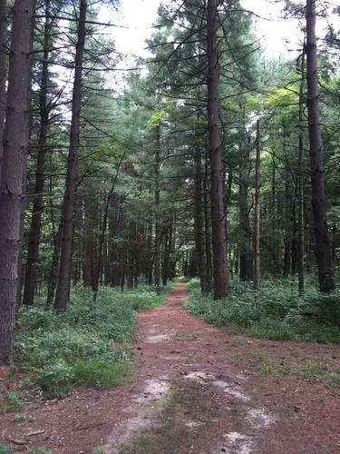 Best Hikes and Trails in August A Busch Memorial Conservation Area ...