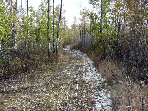 10 Best Horseback Riding Trails in Cooking Lake/Blackfoot Provincial ...