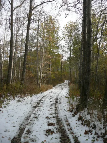 Best Mountain Biking Trails in Cooking Lake/Blackfoot Provincial ...