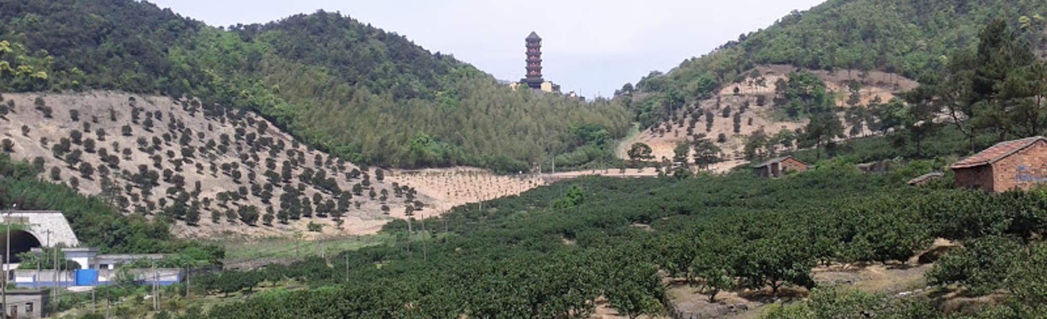 Tiantong Temple and Forest Park: 0 Reviews, Map - Zhejiang, China ...