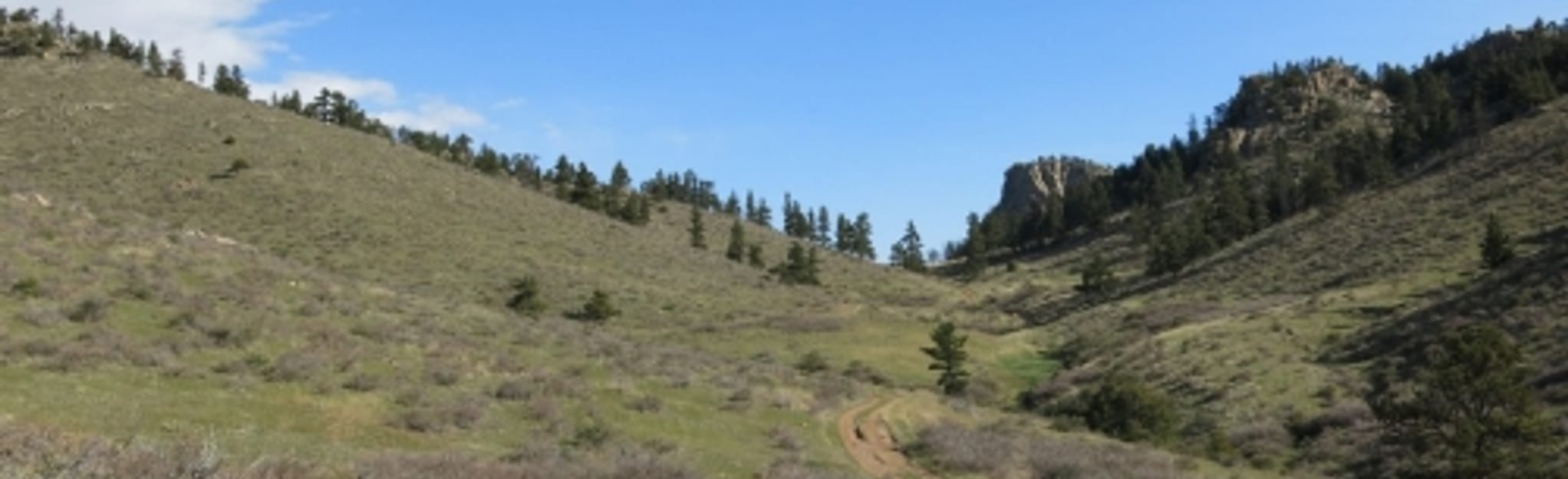 Cherokee Park Trail, Colorado - 7 Reviews, Map | AllTrails