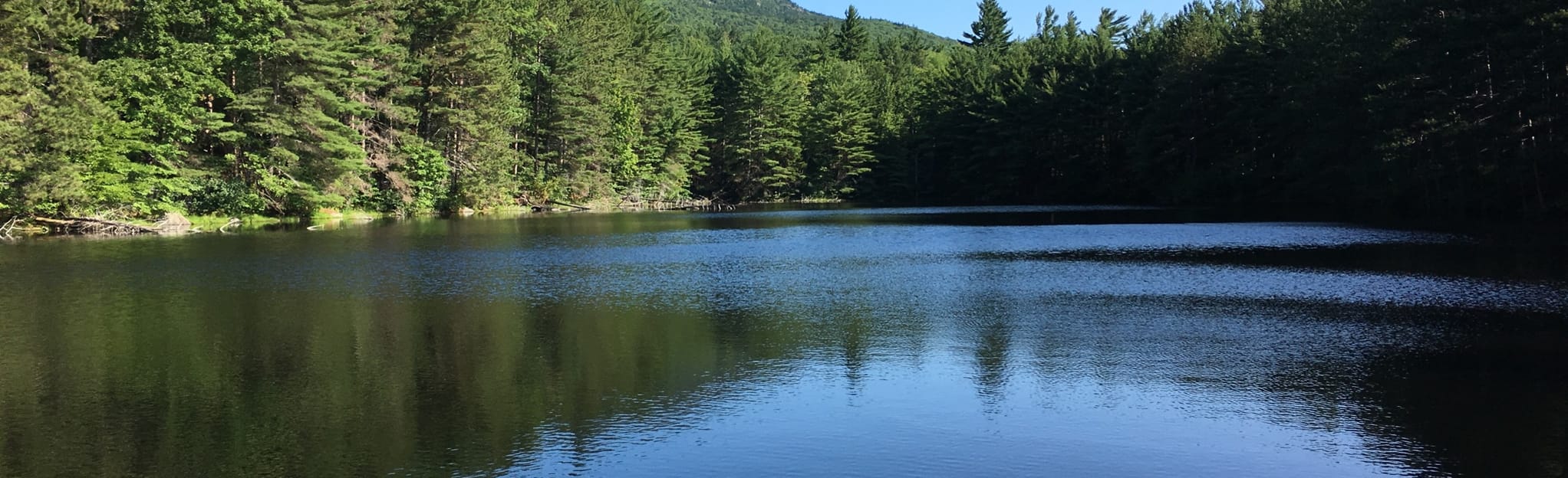 Mount Monadnock via White Cross and Lost Farm Trail Loop | Map, Guide ...