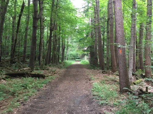 Best Hikes and Trails in Erie County Reforestation Area | AllTrails